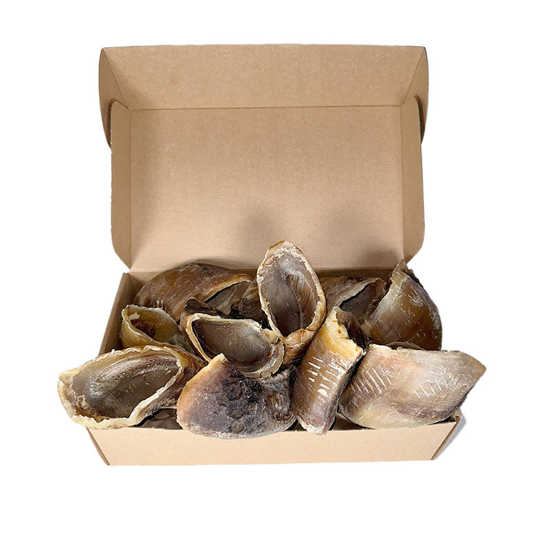 Lot de 10 Sabots De Bœuf Pour Chien | Friandises Naturelles Pour Chiens