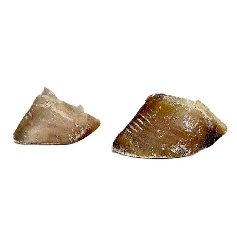 Sabot De Boeuf Pour Chien - Hounimo